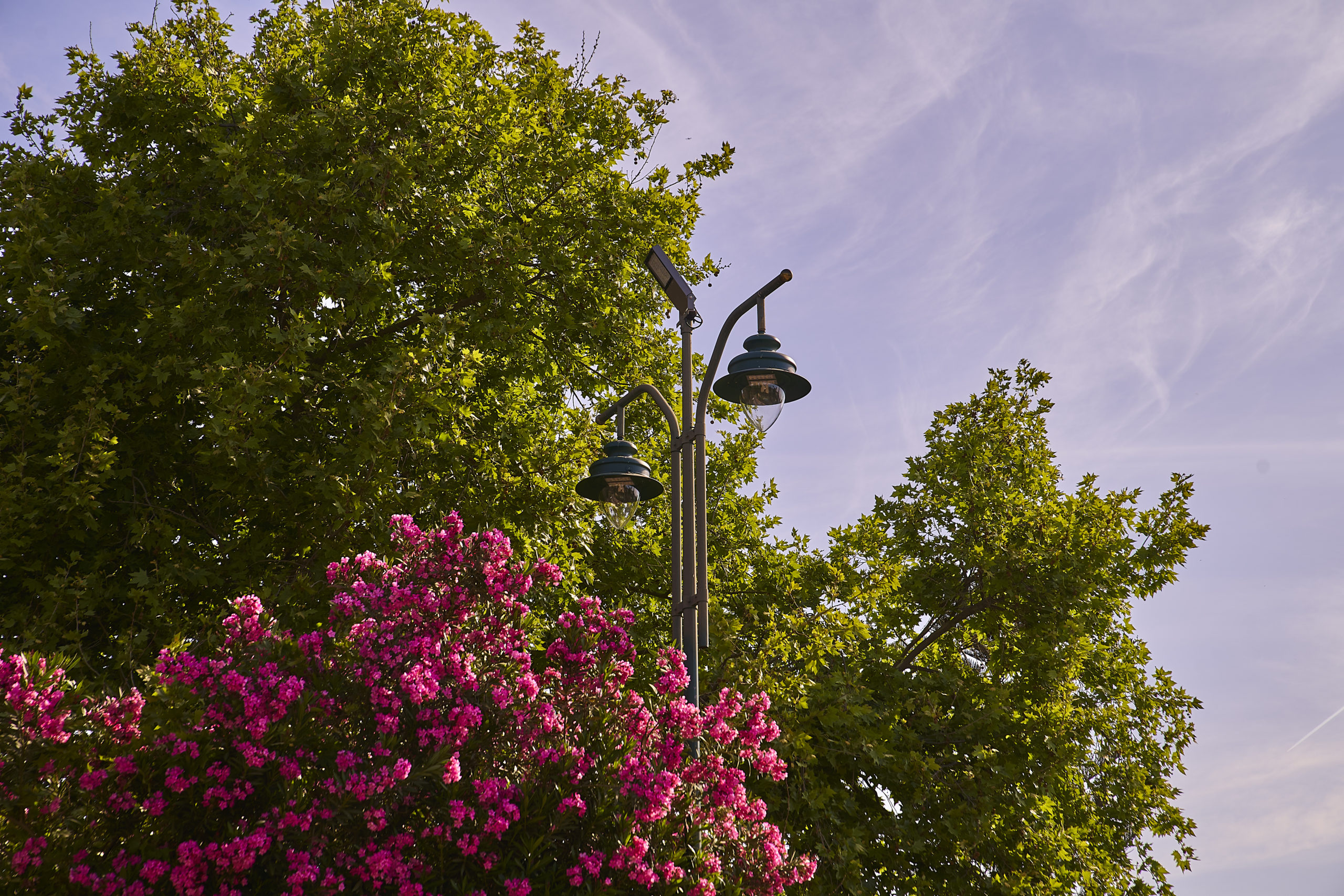 Public lighting - Prilux